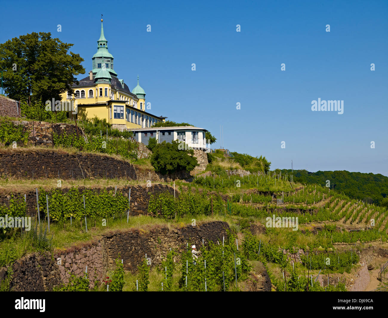 Spitzhaus restaurant with vineyard in Radebeul, Saxony, Germany Stock ...