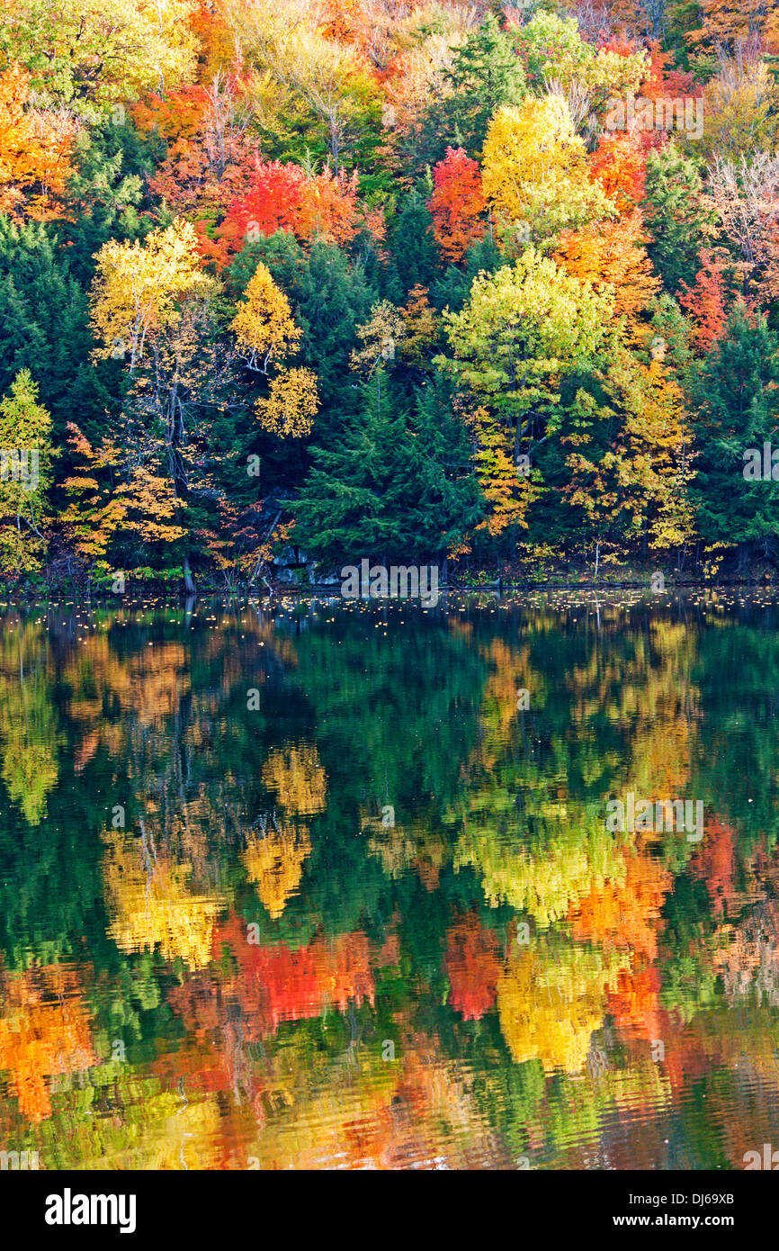 Beautiful lake reflection in Quebec-Canada Stock Photo - Alamy
