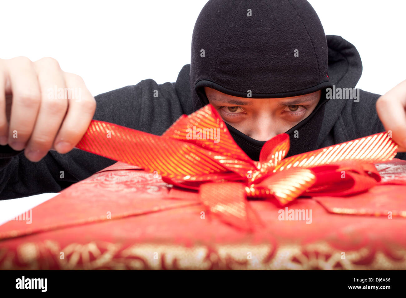 bandit holding a wrapped Christmas gift Stock Photo - Alamy