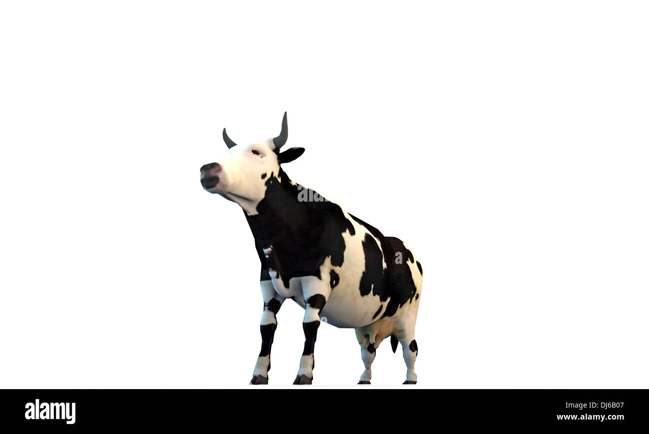 cow isolated on white background Stock Photo - Alamy