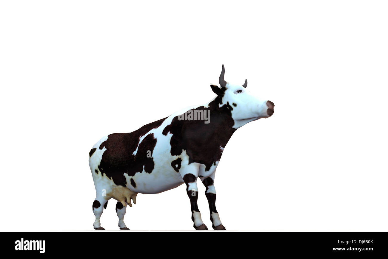 cow isolated on white background Stock Photo - Alamy