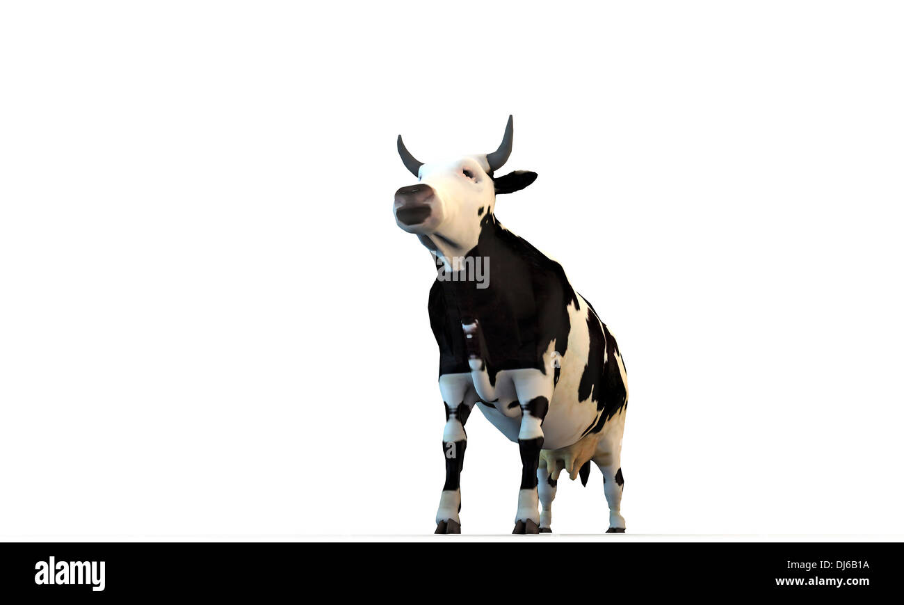cow isolated on white background Stock Photo - Alamy