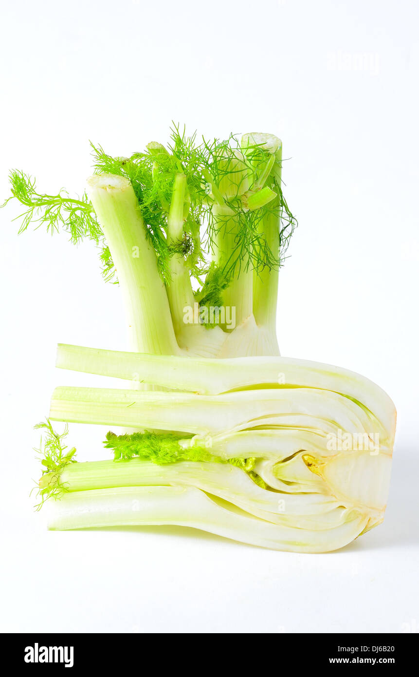 Fennel on white background Stock Photo - Alamy