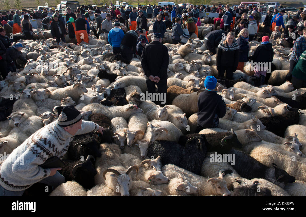 Flock year round hi-res stock photography and images - Alamy