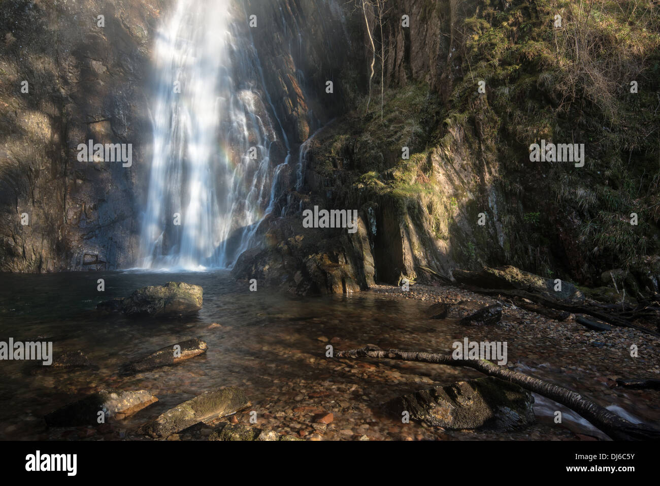 Water mares tail hi-res stock photography and images - Alamy