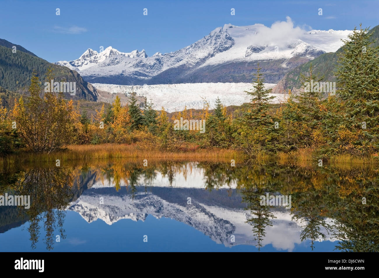 Fall Foliage Reflects In A Lake Near Mendenhall Glacier Near Juneau ...