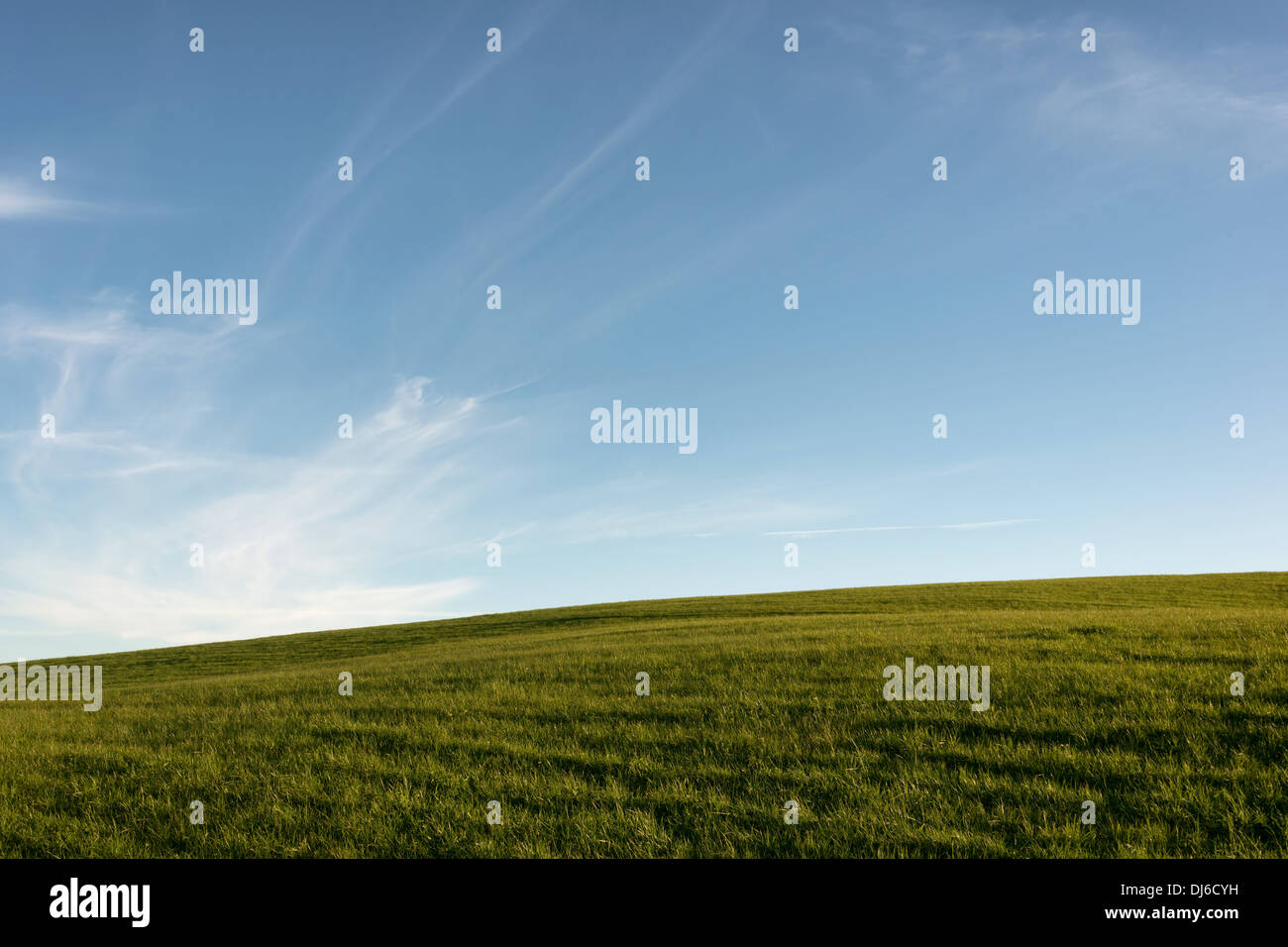 Green grass field Stock Photo - Alamy