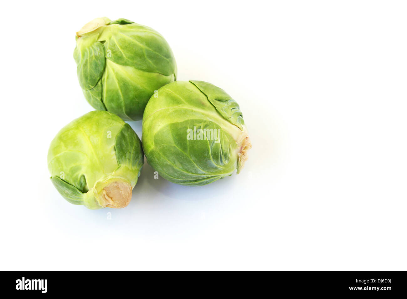 Green brussels sprouts on white background Stock Photo - Alamy