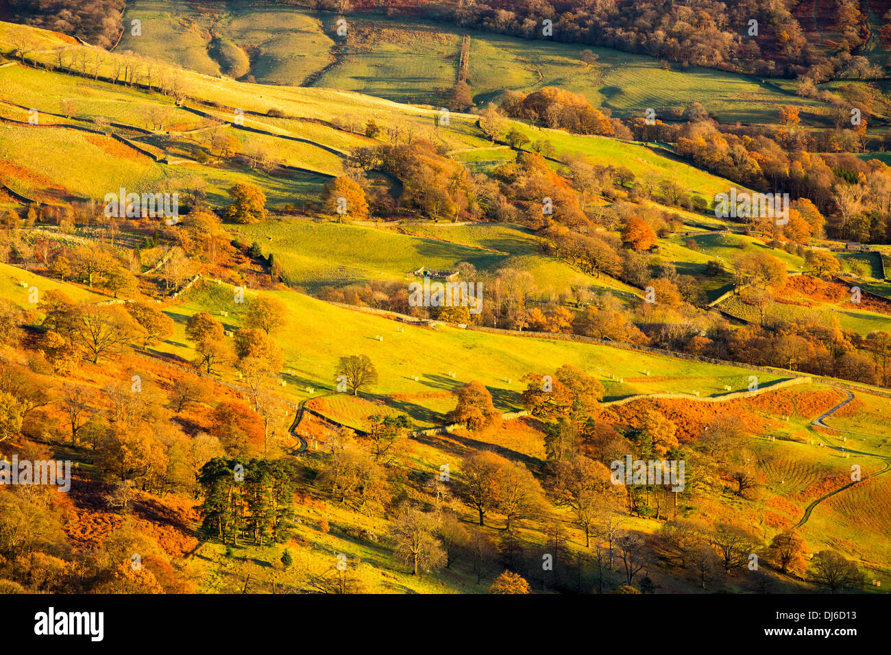 Low catching view hi-res stock photography and images - Alamy