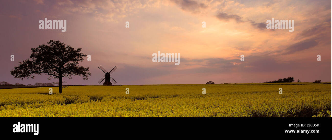 Stevington Windmill; Stevington village; Bedfordshire County; England ...