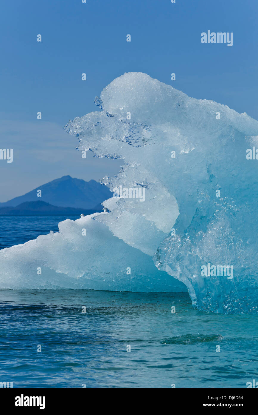 Close Up Of An Iceberg In Stephens Passage With Gulls Perched On Top ...