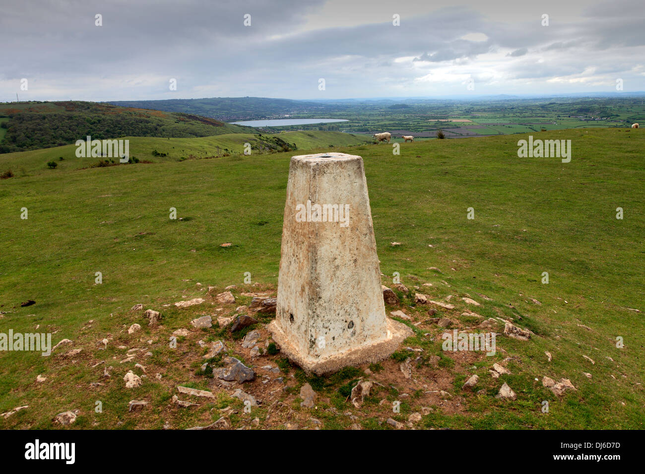 Os trig points hi-res stock photography and images - Alamy