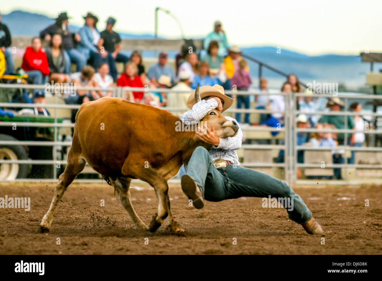 Cowboy at a rodeo Stock Photo - Alamy