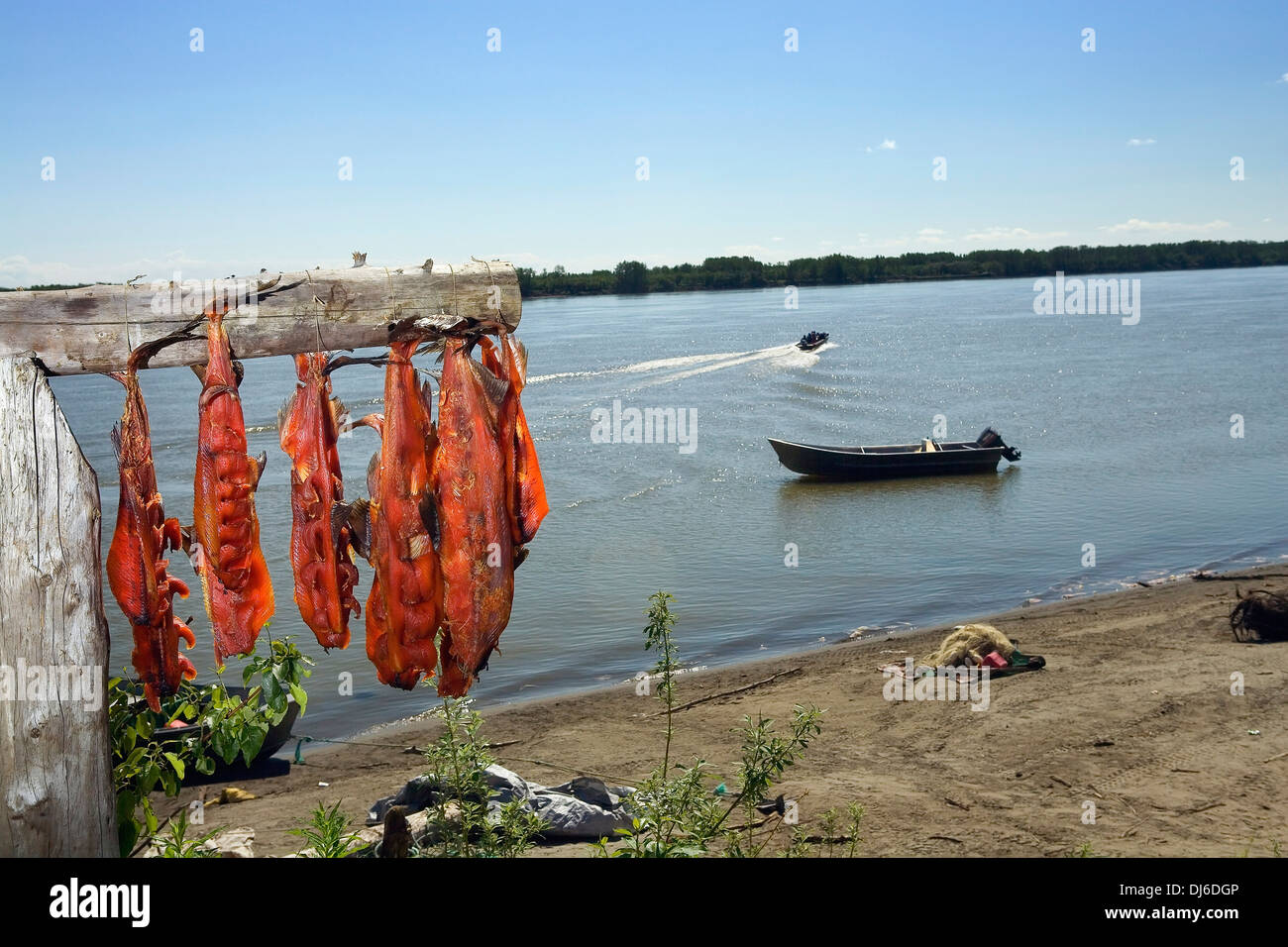 Alaska subsistence salmon fishing hi-res stock photography and images ...