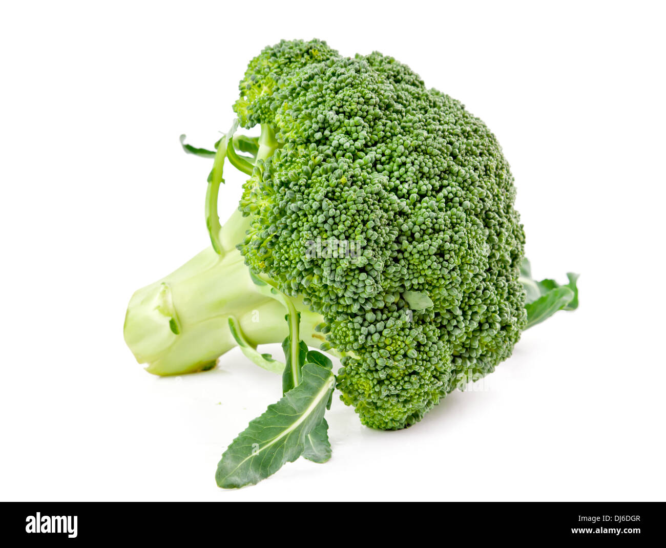 Raw broccoli hi-res stock photography and images - Alamy