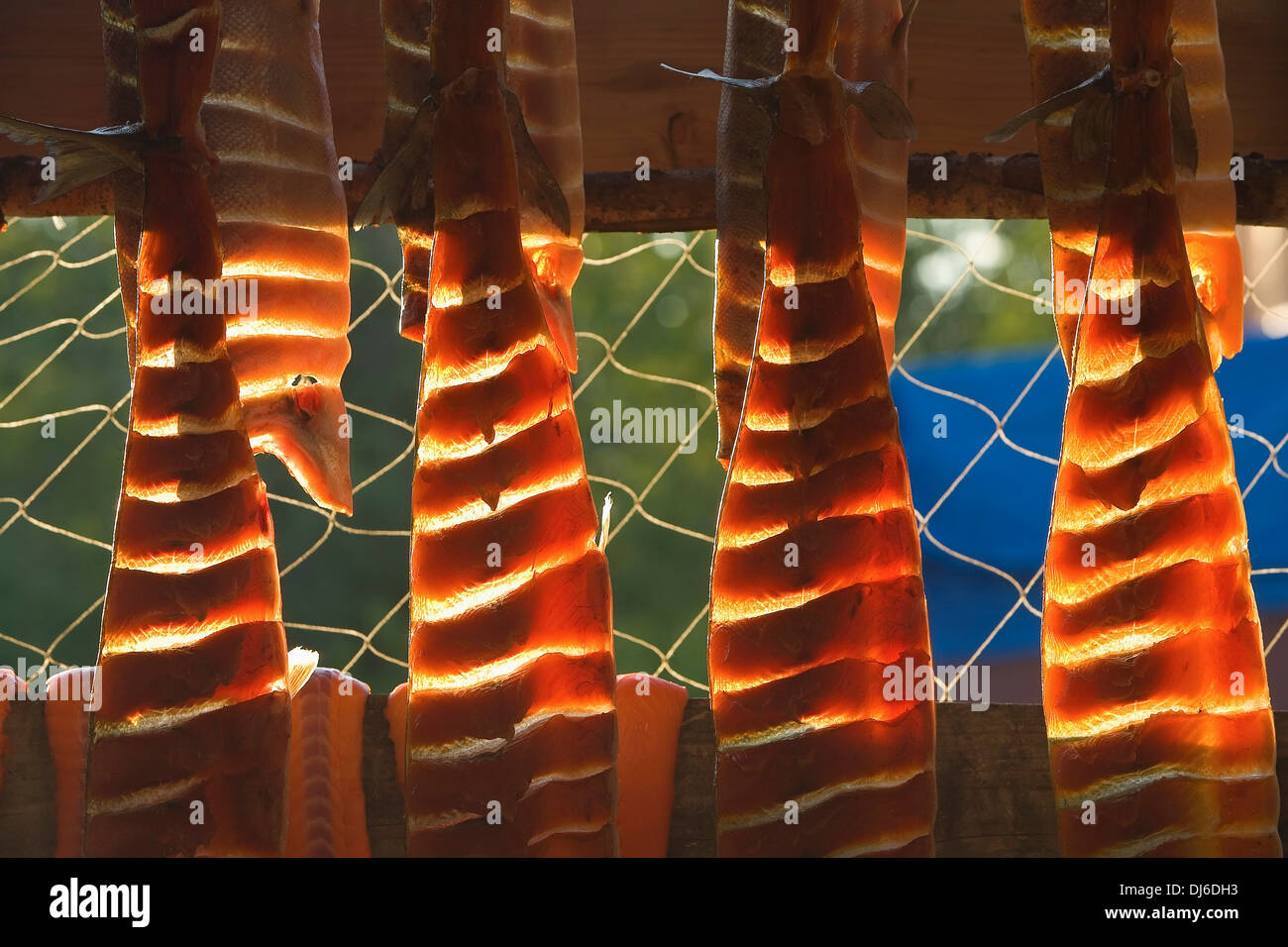 Traditionally Prepared Salmon Strips Hanging On Drying Rack W/Fishing ...