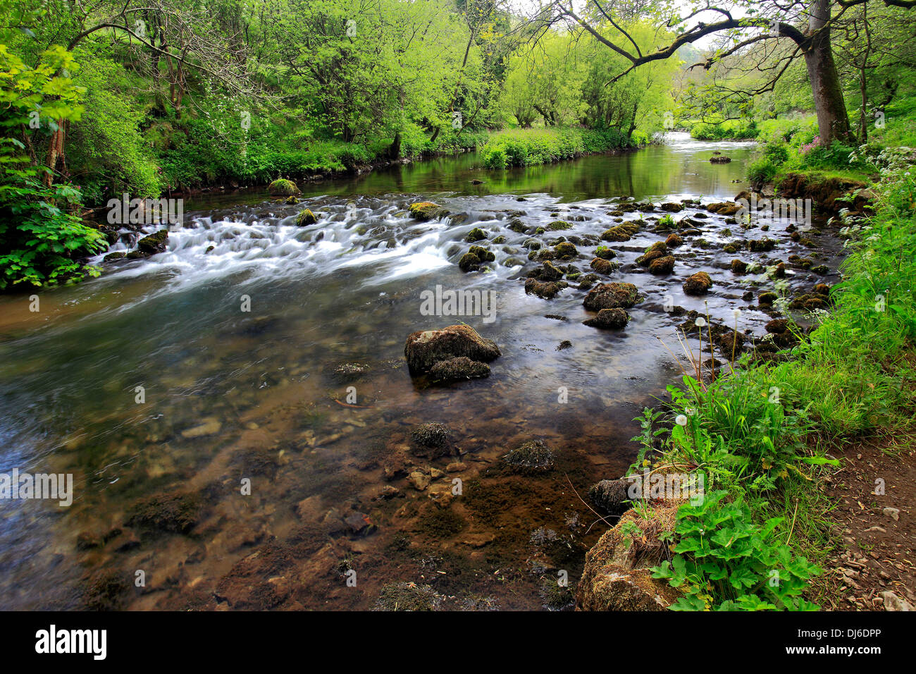 Summer view through Chee Dale on the river Wye, near Blackwell village ...