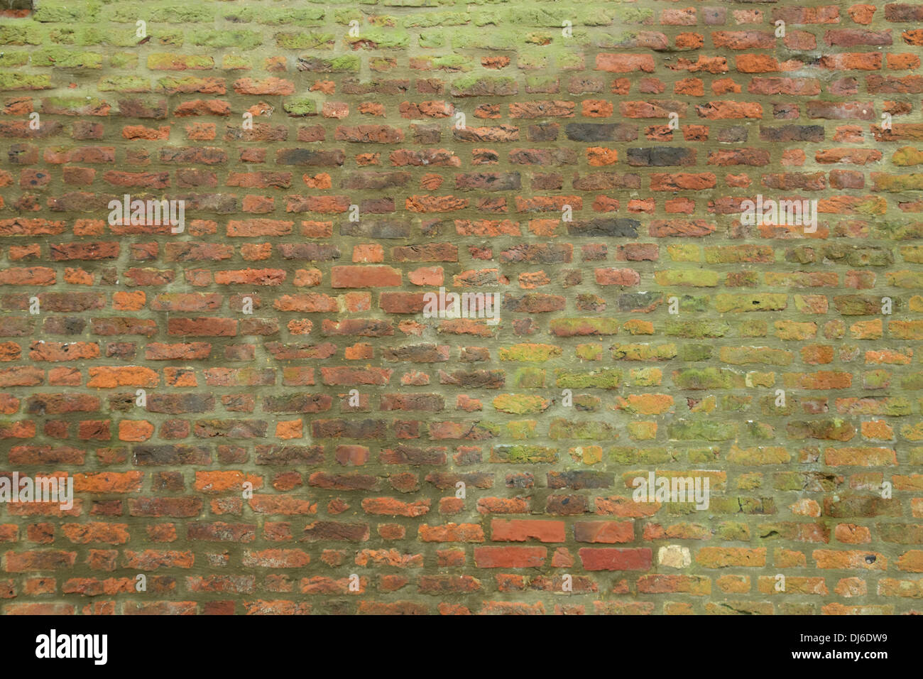Old mossy brick wall background Stock Photo - Alamy