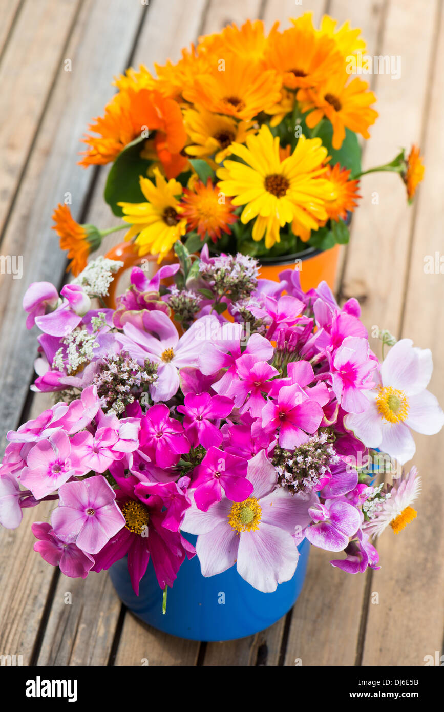 Two orange pink flowers hi-res stock photography and images - Alamy