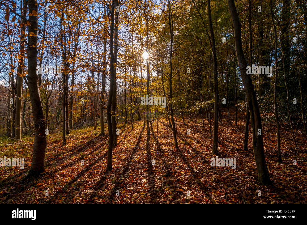 Chesham bois hi-res stock photography and images - Alamy