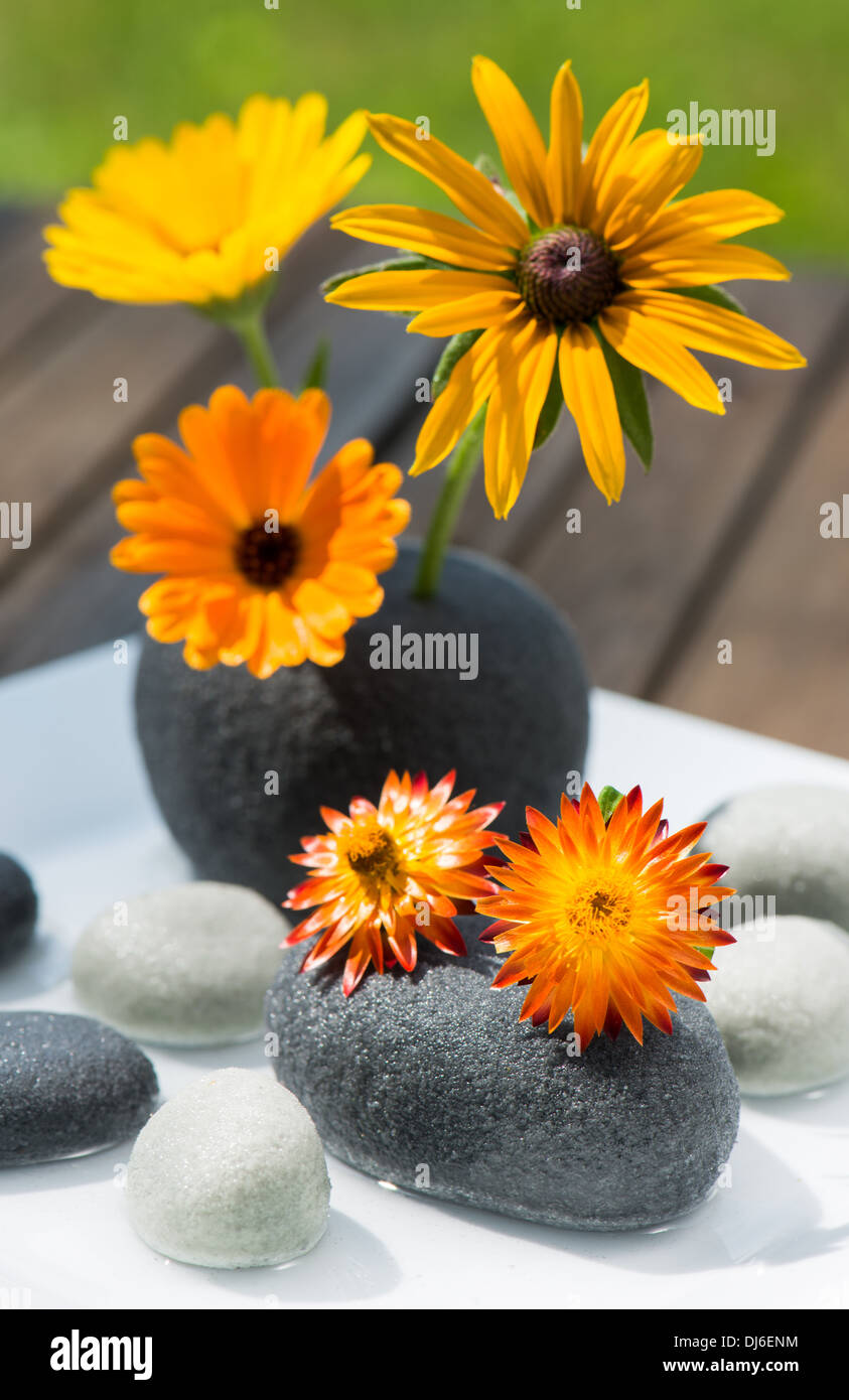 Internal flowers hi-res stock photography and images - Alamy