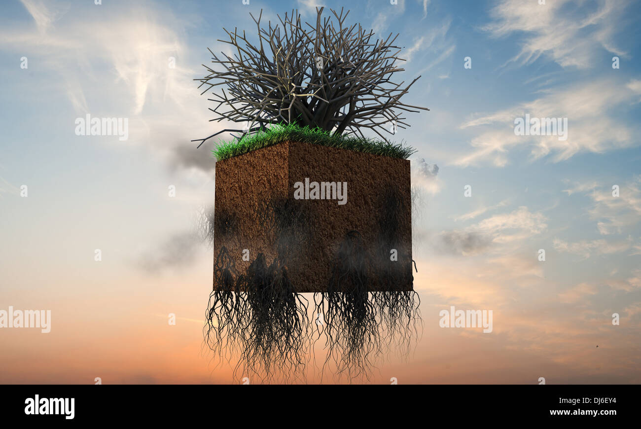 oak tree over a small soil section flying in the sky Stock Photo - Alamy