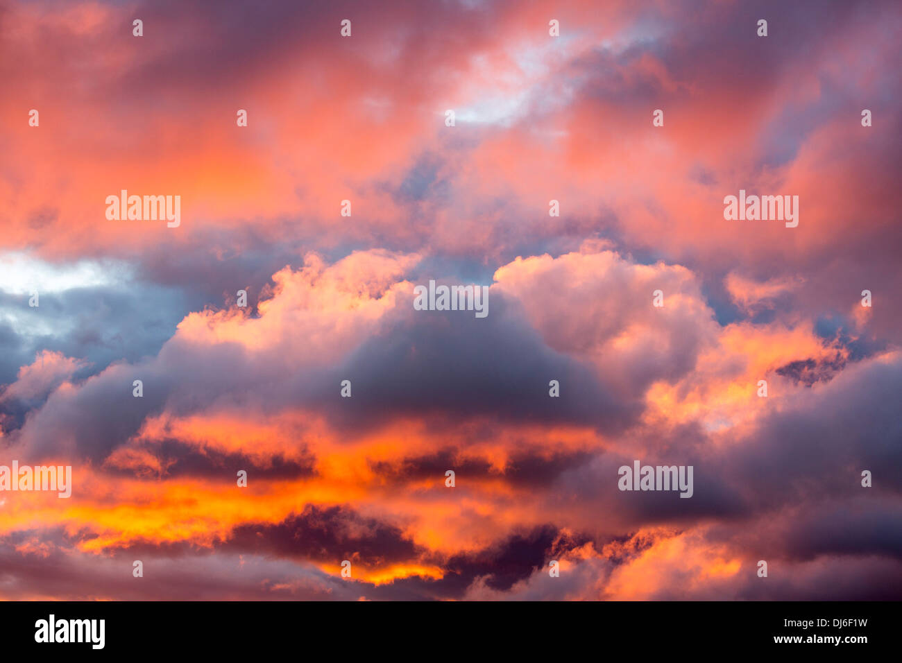 Golden Shaft Sunset High Resolution Stock Photography and Images - Alamy