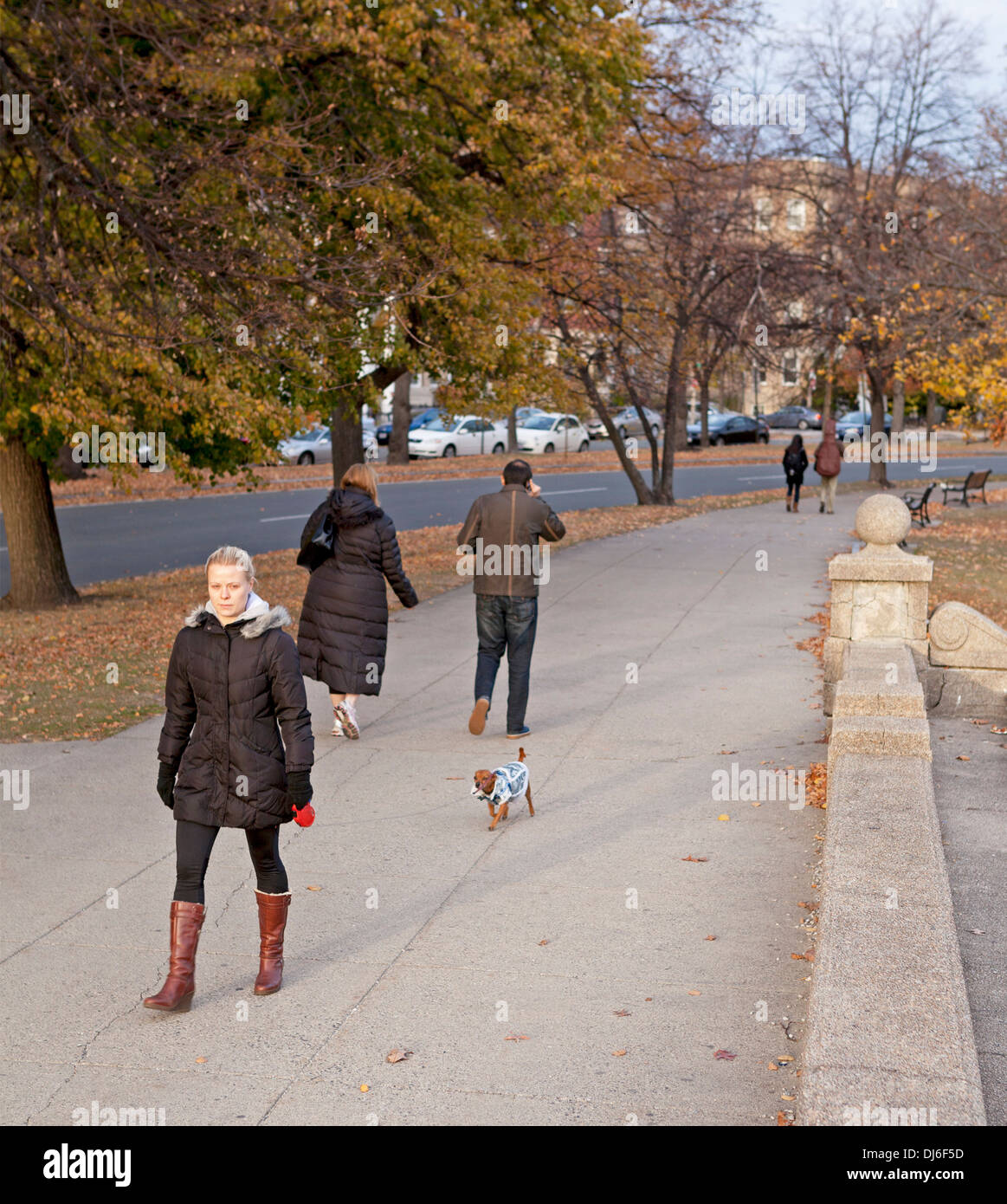 People and their dogs stroll in The Fens in Boston Stock Photo - Alamy