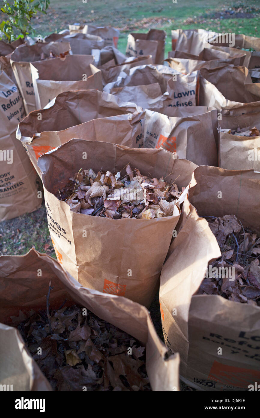 Leaf collection bags hi-res stock photography and images - Alamy