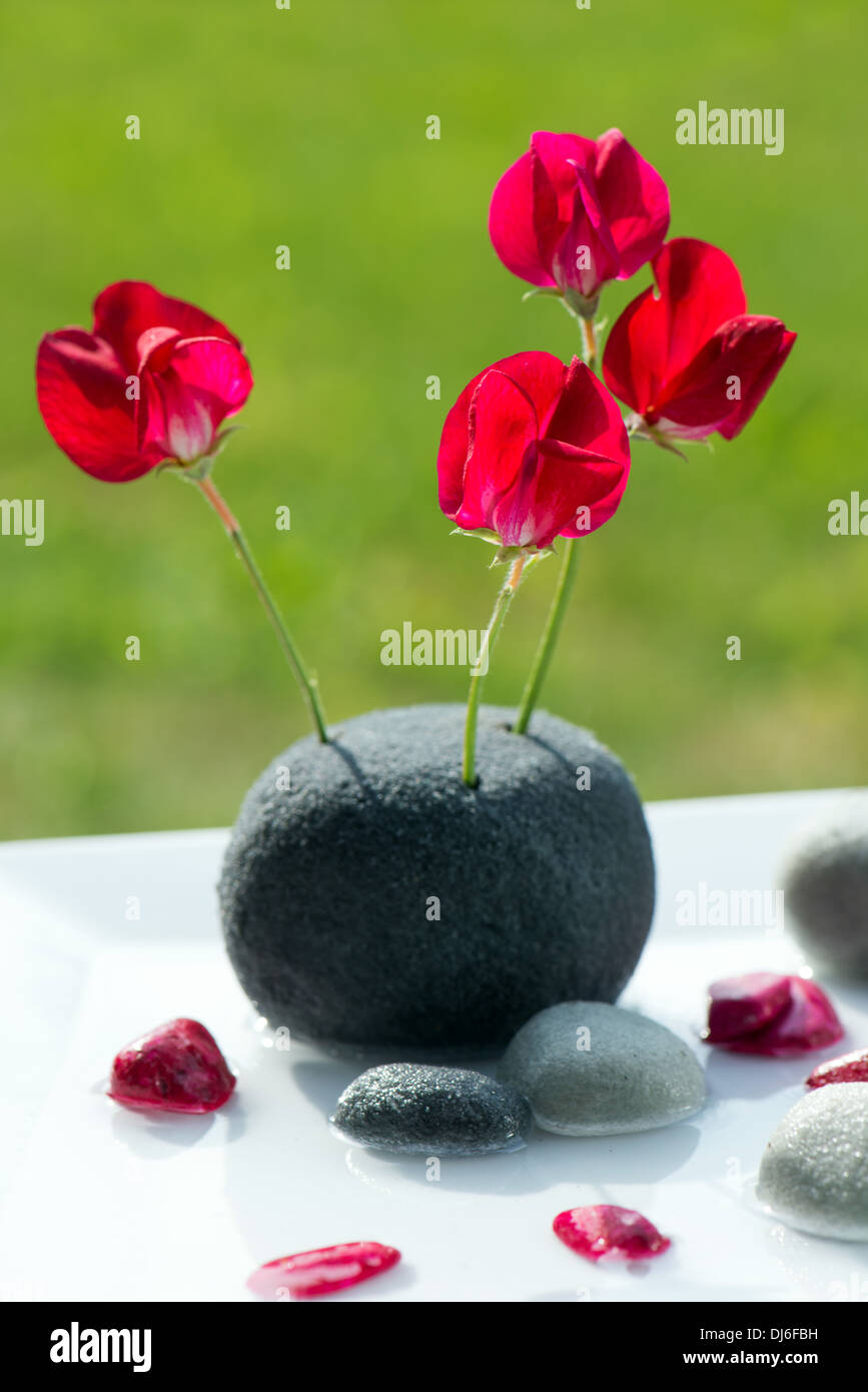 Zen garden with flowers and stones Stock Photo - Alamy