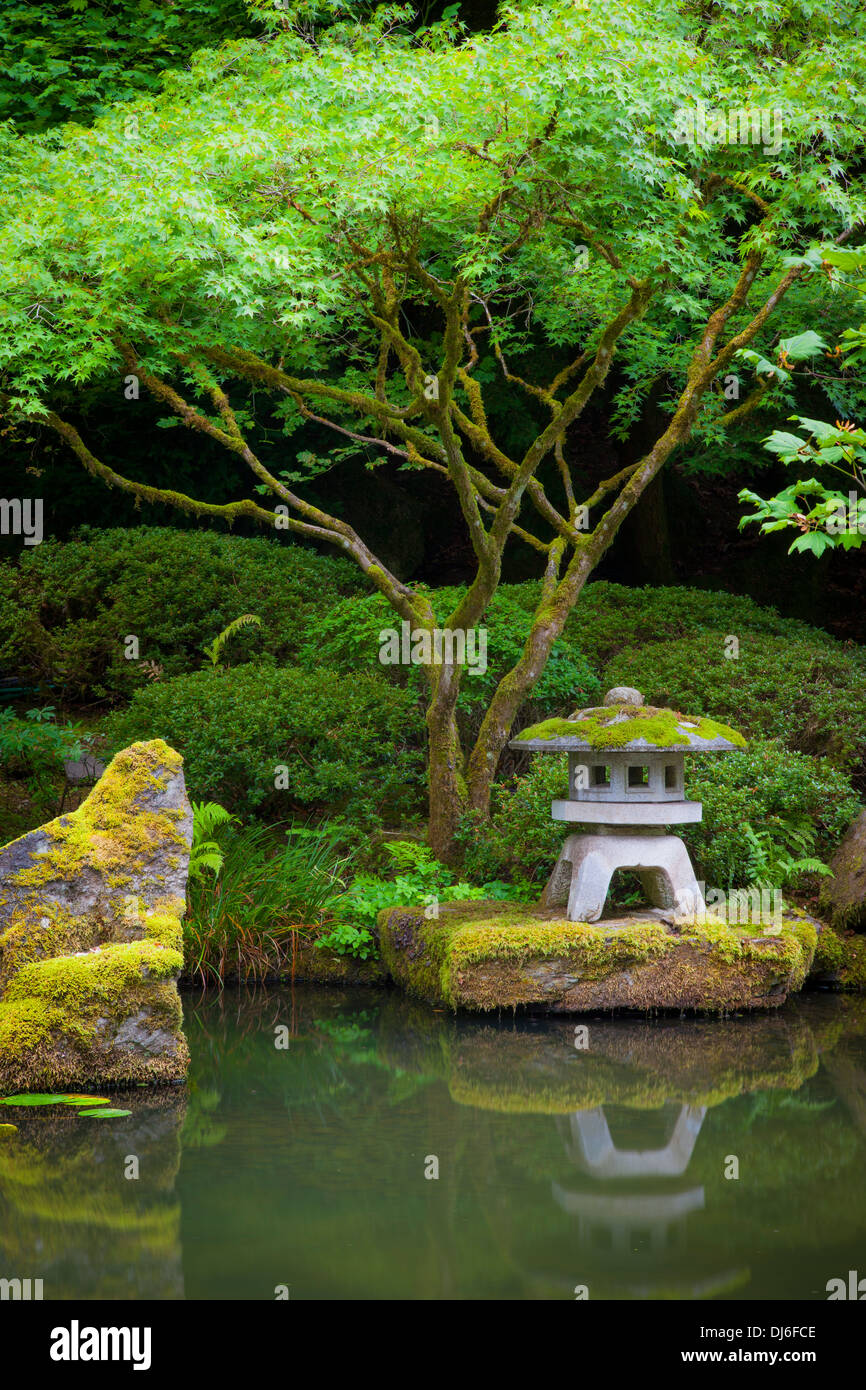 Japanese pagoda tree hi-res stock photography and images - Alamy