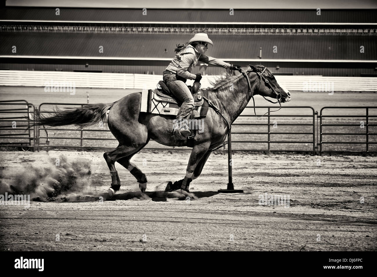 Western horse and rider competing in pole bending and barrel racing ...
