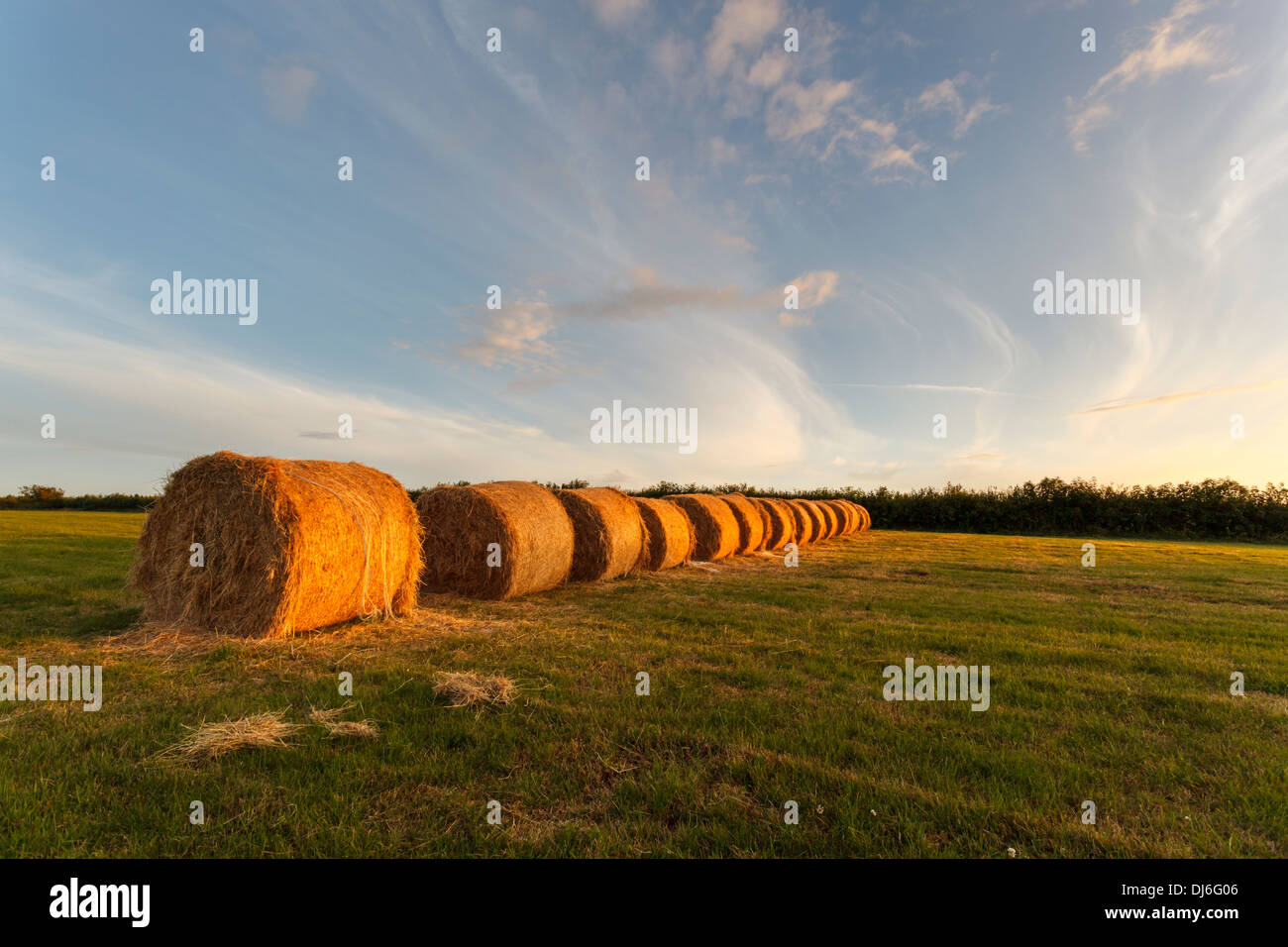 Row of hay bales europe hi-res stock photography and images - Alamy