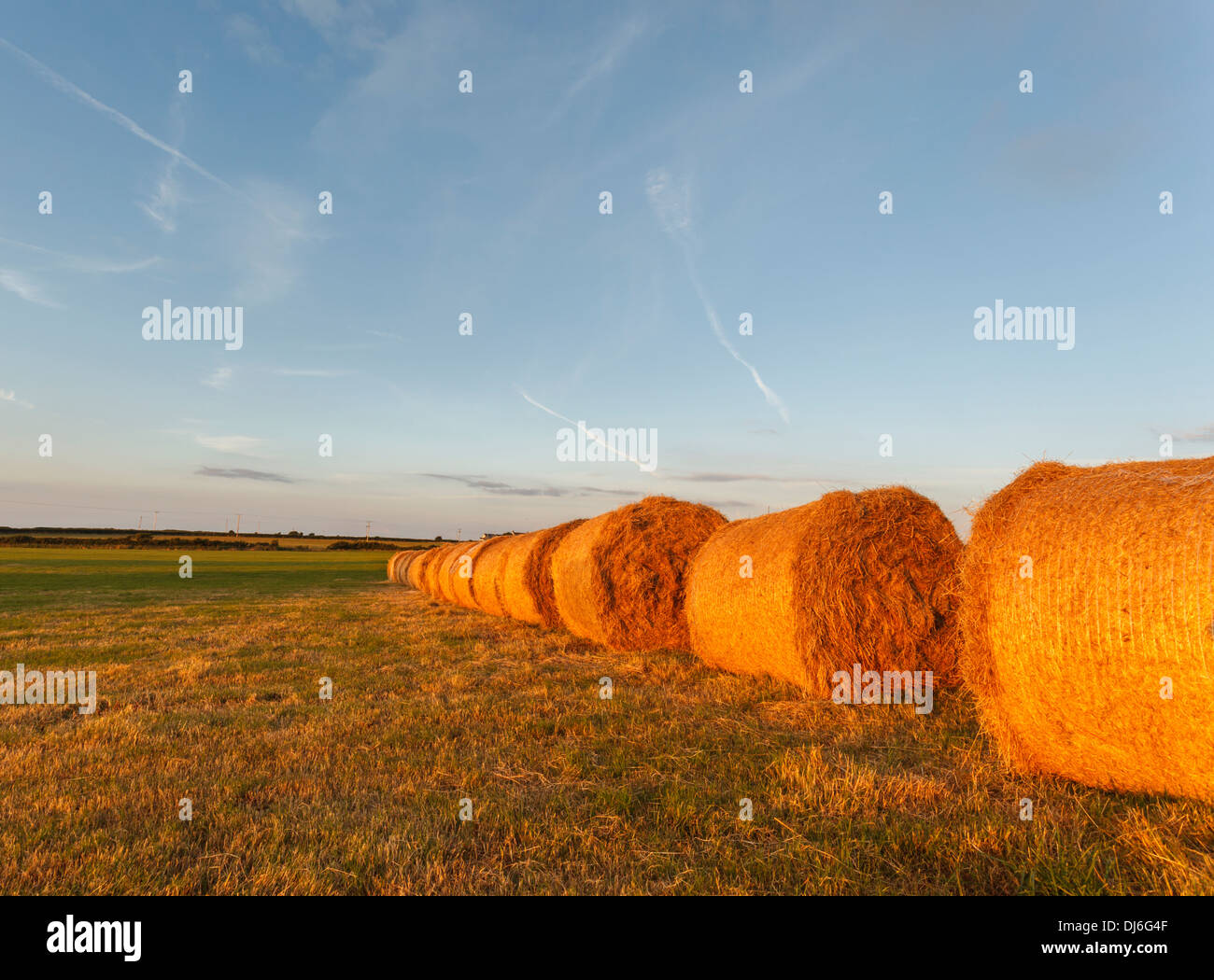 Row of hay bales europe hi-res stock photography and images - Alamy