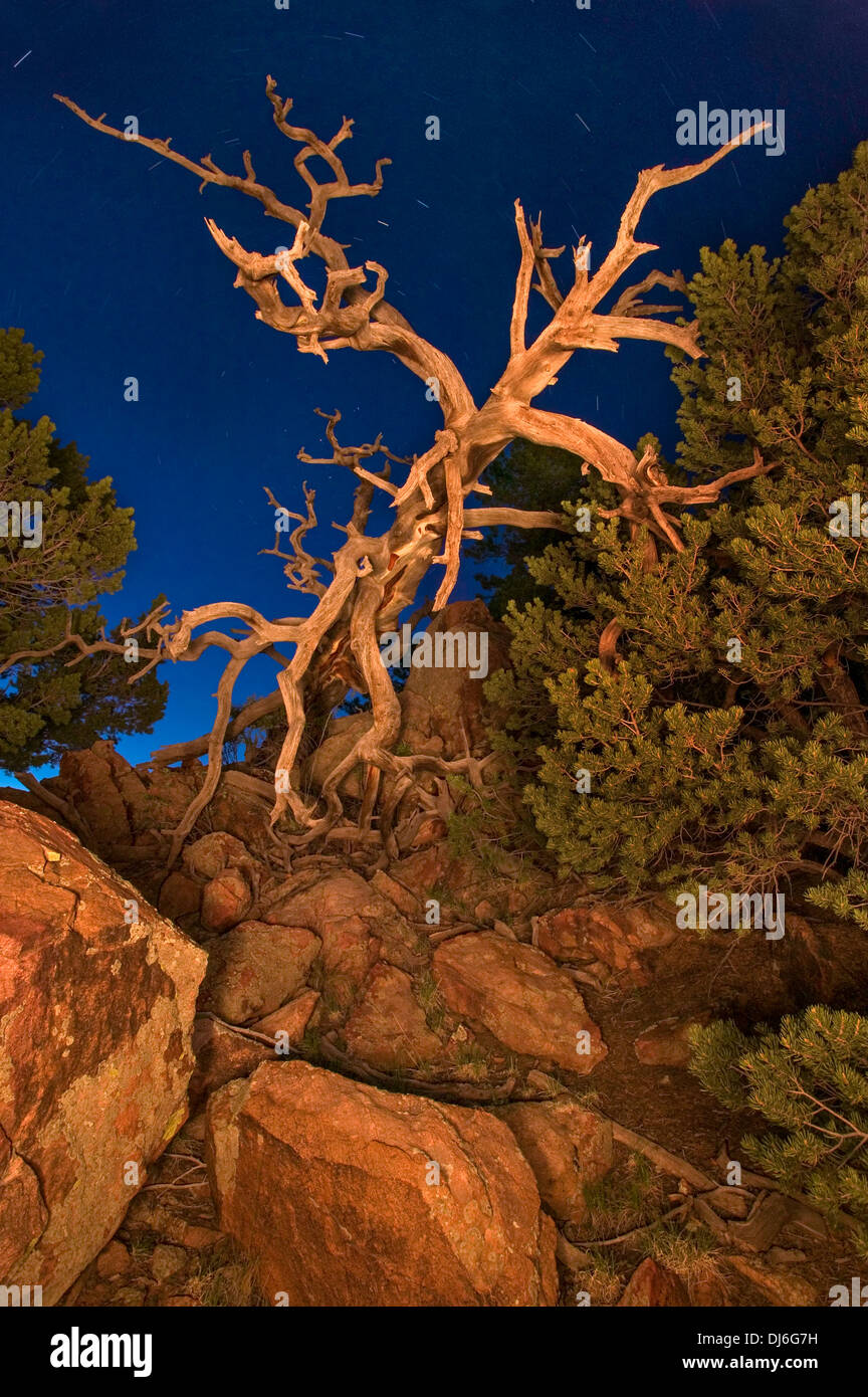 Night has fallen hi-res stock photography and images - Alamy