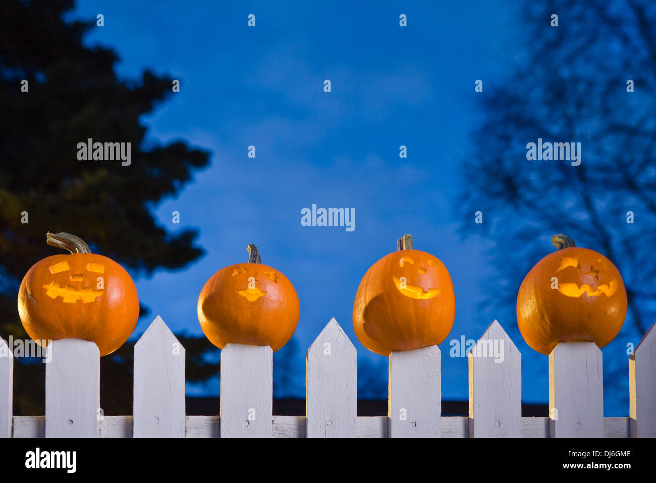 Jack-O-Lantern Faces Stuck On Top Of The Fence Boards Of White Picktet ...
