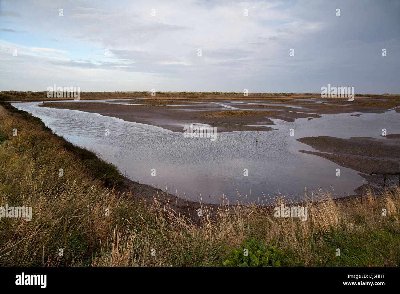 Titchwell marsh, Norfolk, UK Stock Photo - Alamy