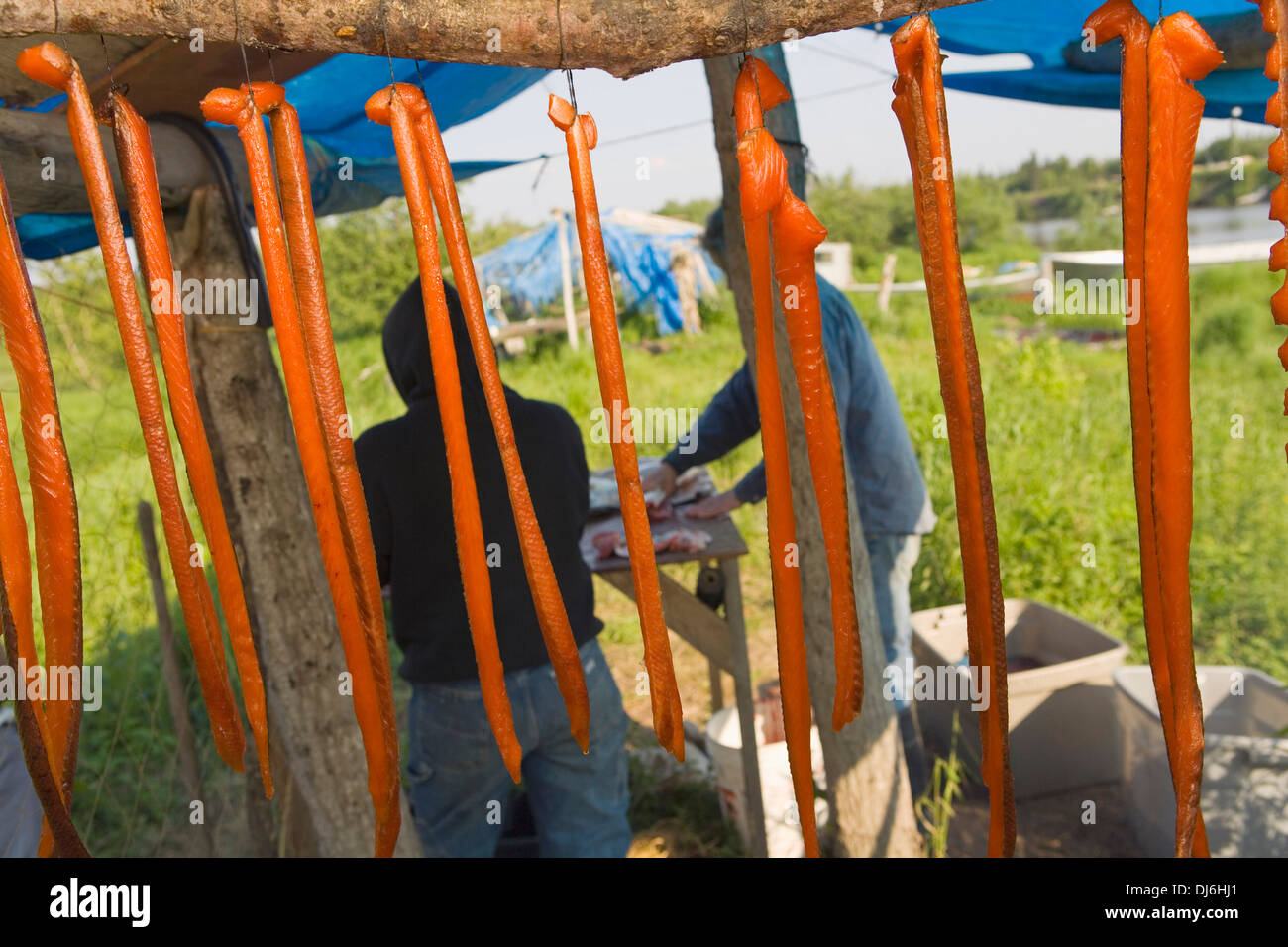 Alaska native fish camp hi-res stock photography and images - Alamy