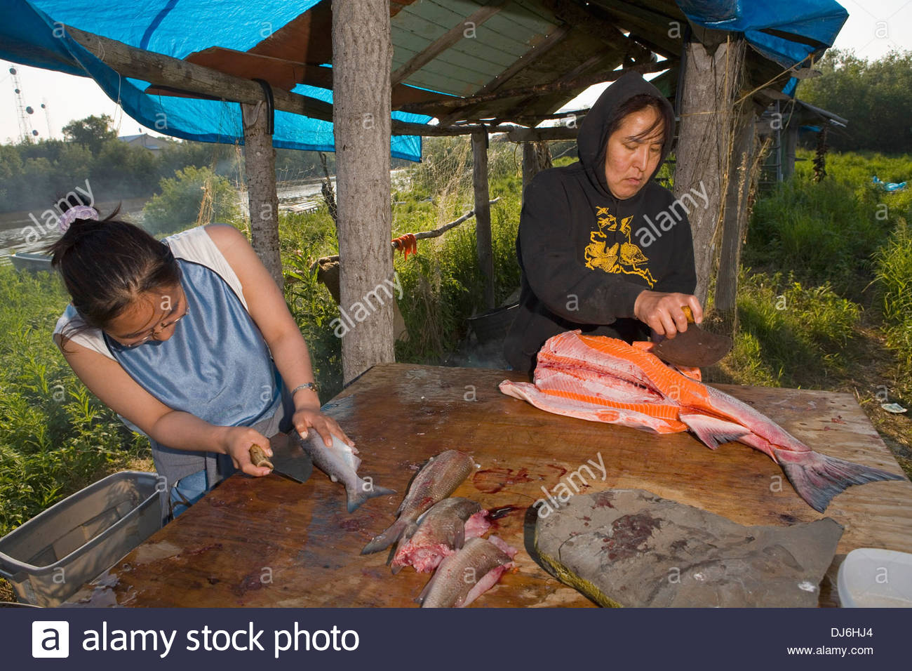 Yupik Food Stock Photos & Yupik Food Stock Images - Alamy