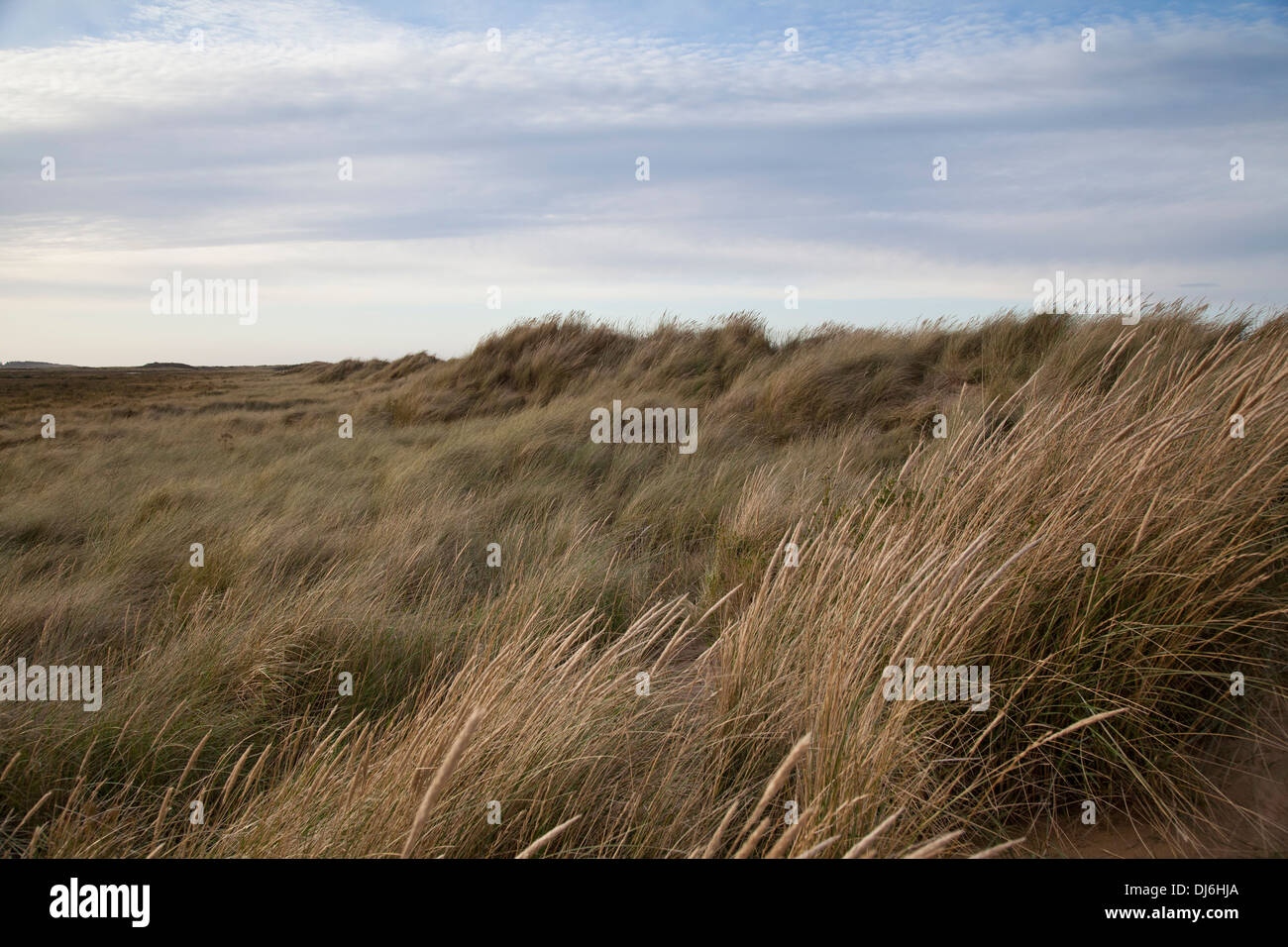 Titchwell, Norfolk, UK Stock Photo - Alamy