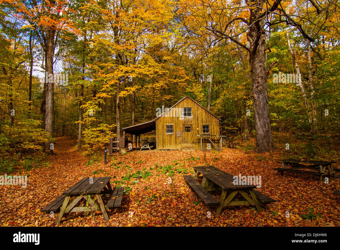 Sugar shack (where maple syrup is made) in Quebec-Canada during the ...