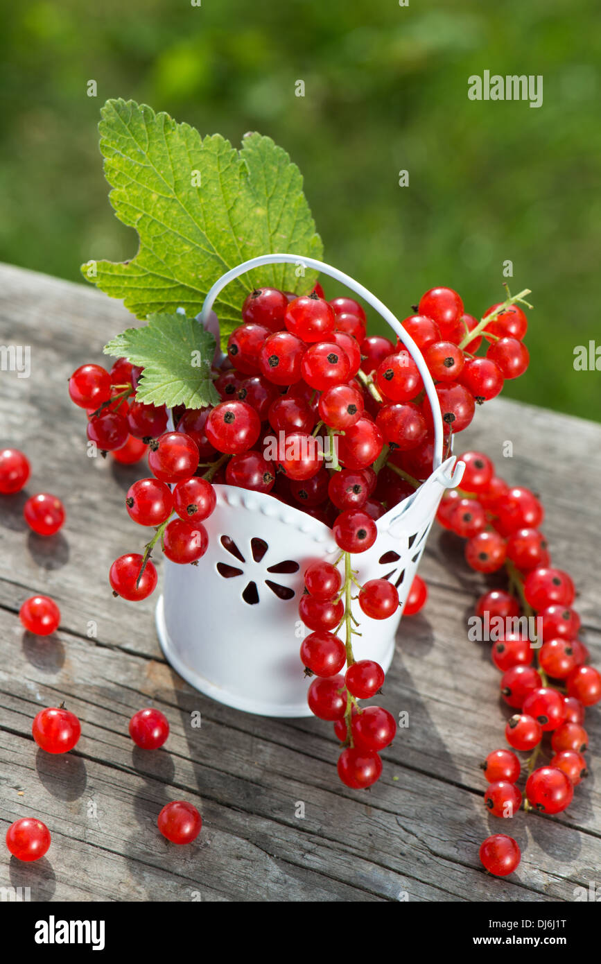 Red currants basket hi-res stock photography and images - Alamy