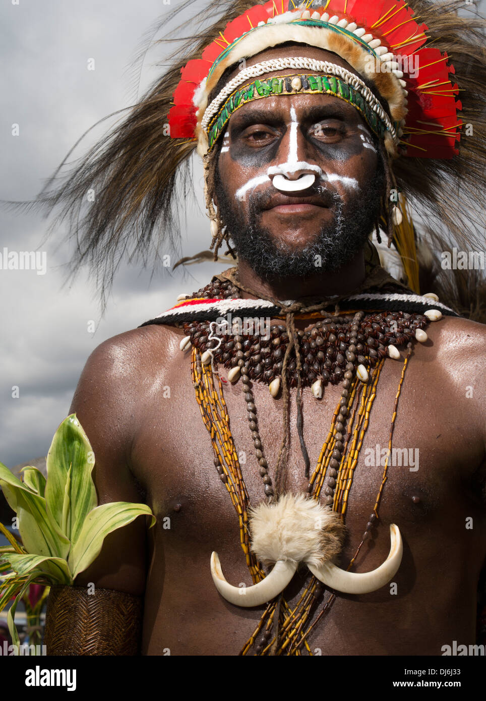 Portrait of tribal elder with headdress, necklace with boar tusks and ...