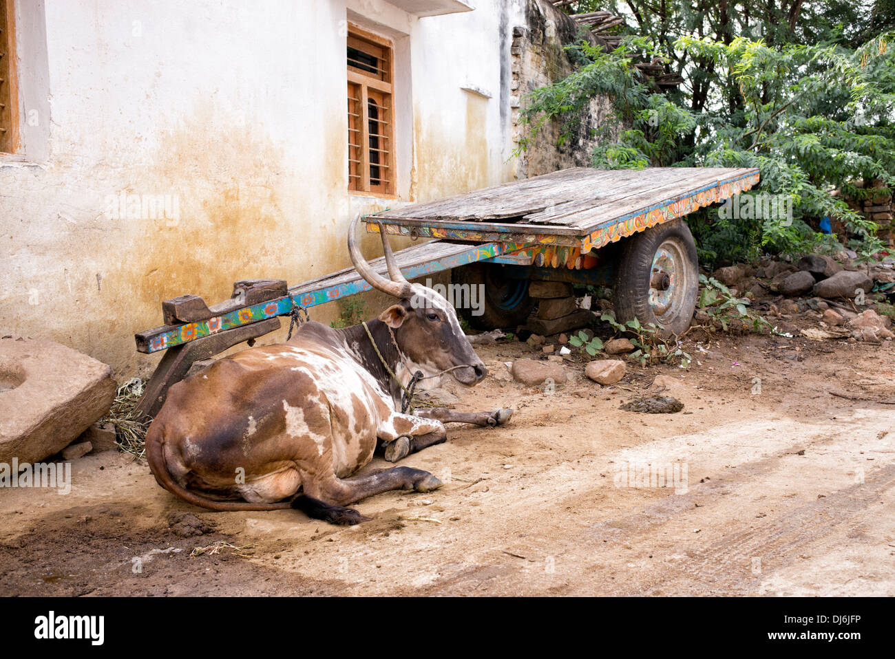 Indian bullock cart hi-res stock photography and images - Alamy
