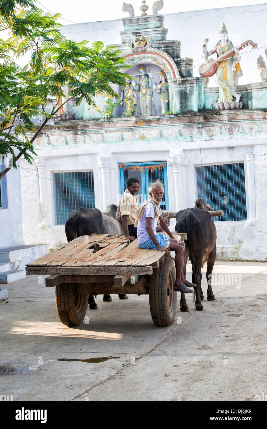 South Indian men on a bullock carts in front of a hindu temple in a ...