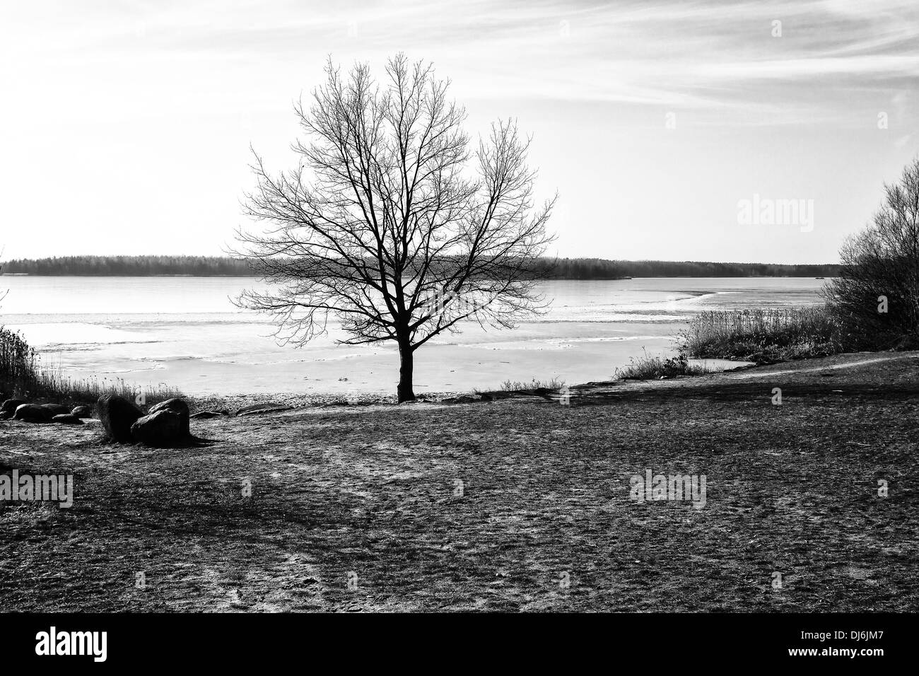 Frozen deep Black and White Stock Photos & Images - Alamy