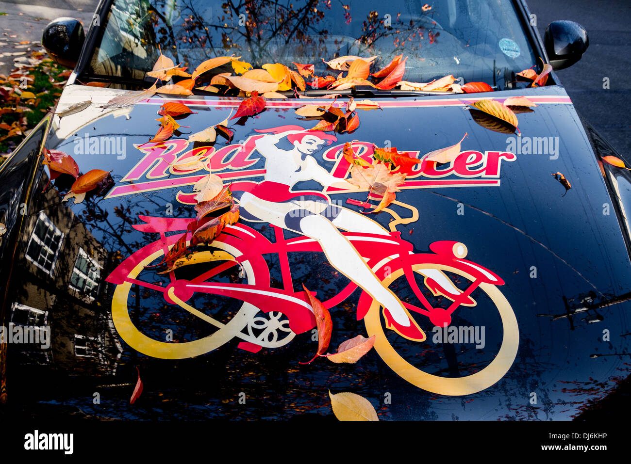 Beer logo hi-res stock photography and images - Alamy