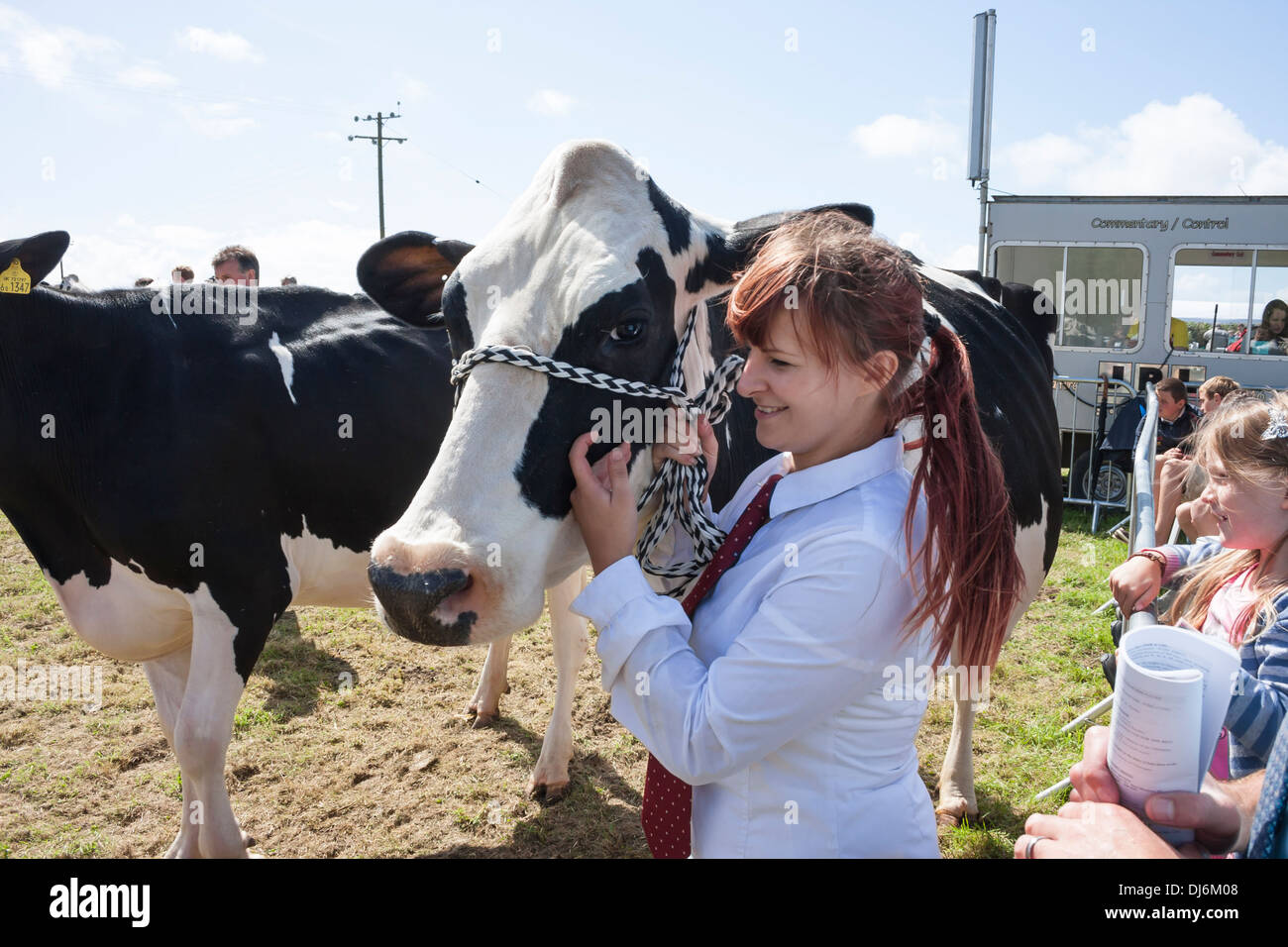 Judging cows at show Stock Photo - Alamy