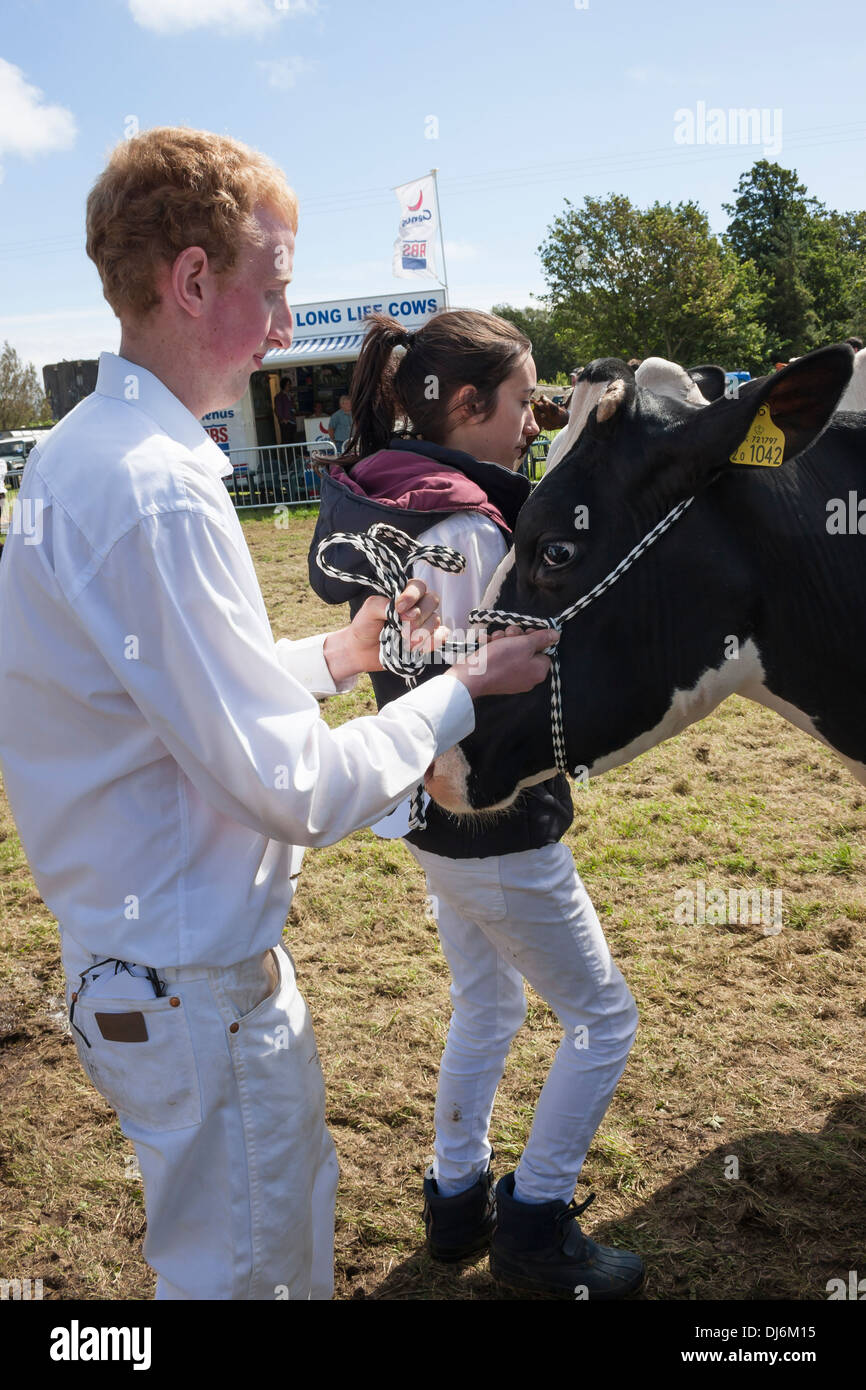 Cattle judging ring hi-res stock photography and images - Alamy