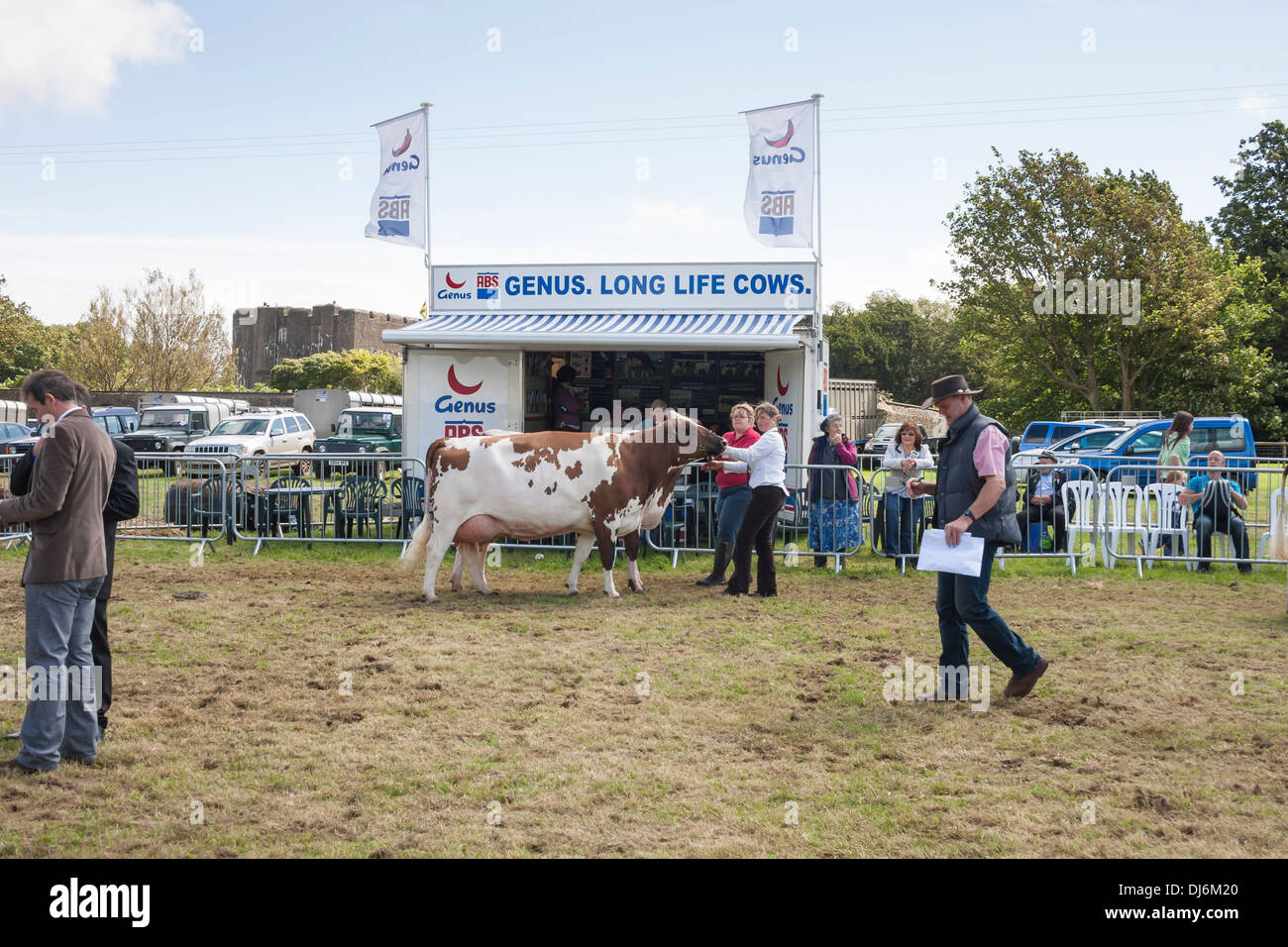 Cows cow parade hi-res stock photography and images - Alamy